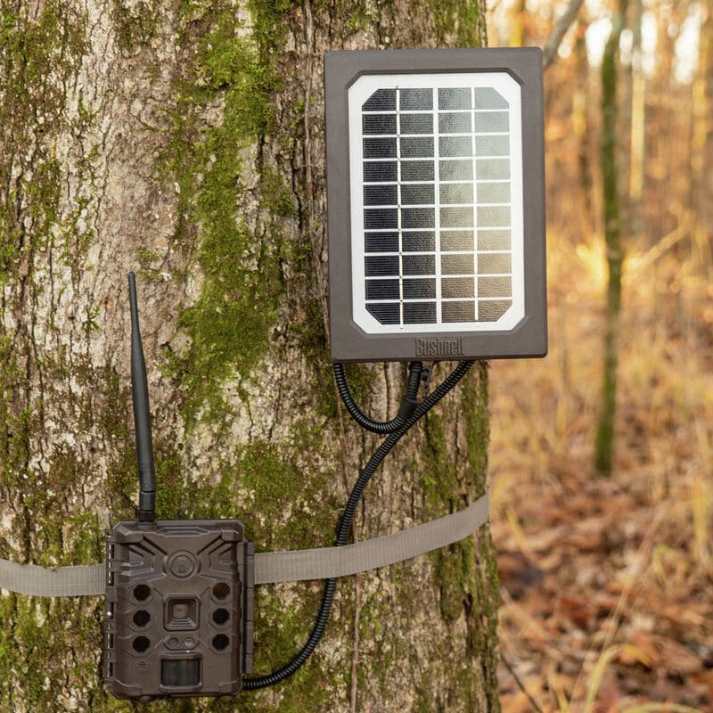 Bushnell Trail Camera Solar Panel - Tan | Bruno Shooters Supply
